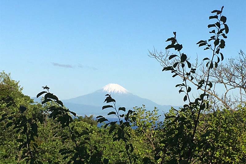 連載『山のてっぺん 海暮らし』 第1回「髙橋百合子の移住生活 スタートしました」 | サステナブルショップ エコンフォートハウス ecomfortHouse｜KLIPPAN（クリッパン）総輸入元