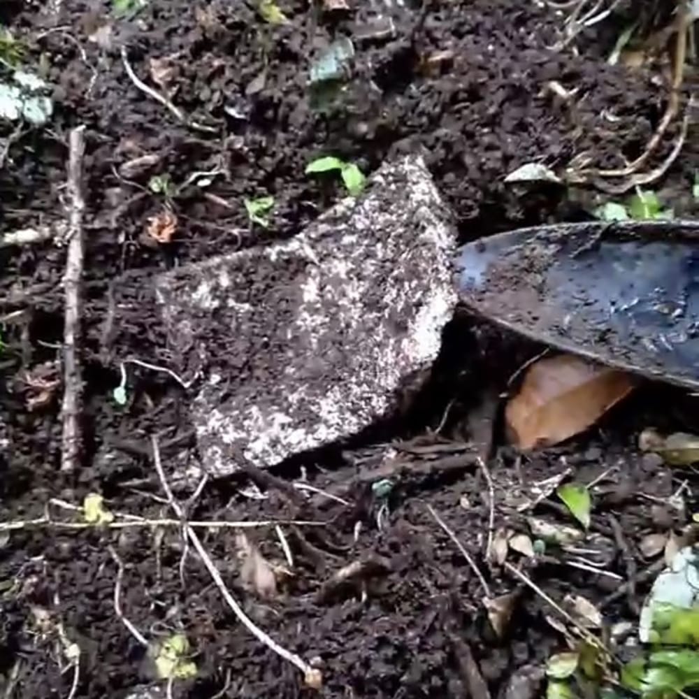 スタッフのecomfortモノ語り 第11回 | サステナブルショップ エコンフォートハウス ecomfortHouse｜KLIPPAN（クリッパン）総輸入元