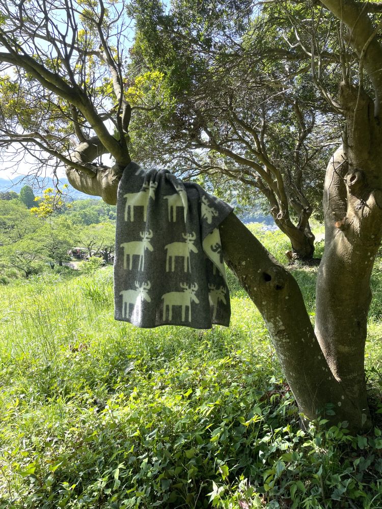 スタッフのecomfortモノ語り 第13回 | サステナブルショップ エコンフォートハウス ecomfortHouse｜KLIPPAN（クリッパン）総輸入元