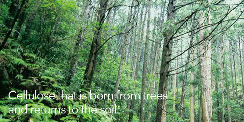 ecomfortHouse | サステナブルショップ エコンフォートハウス ecomfortHouse｜KLIPPAN（クリッパン）総輸入元