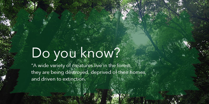 ecomfortHouse “Mori Katsu” Project | サステナブルショップ エコンフォートハウス ecomfortHouse｜KLIPPAN（クリッパン）総輸入元